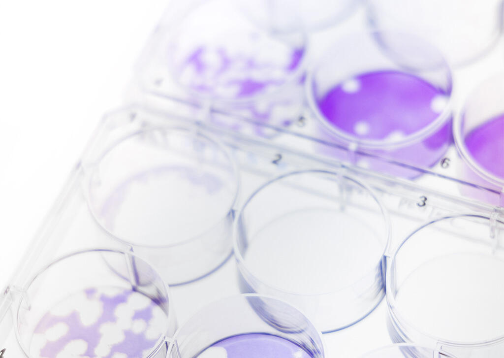 The Martinez-Sobrido Lab | Luis Martinez-Sobrido Lab